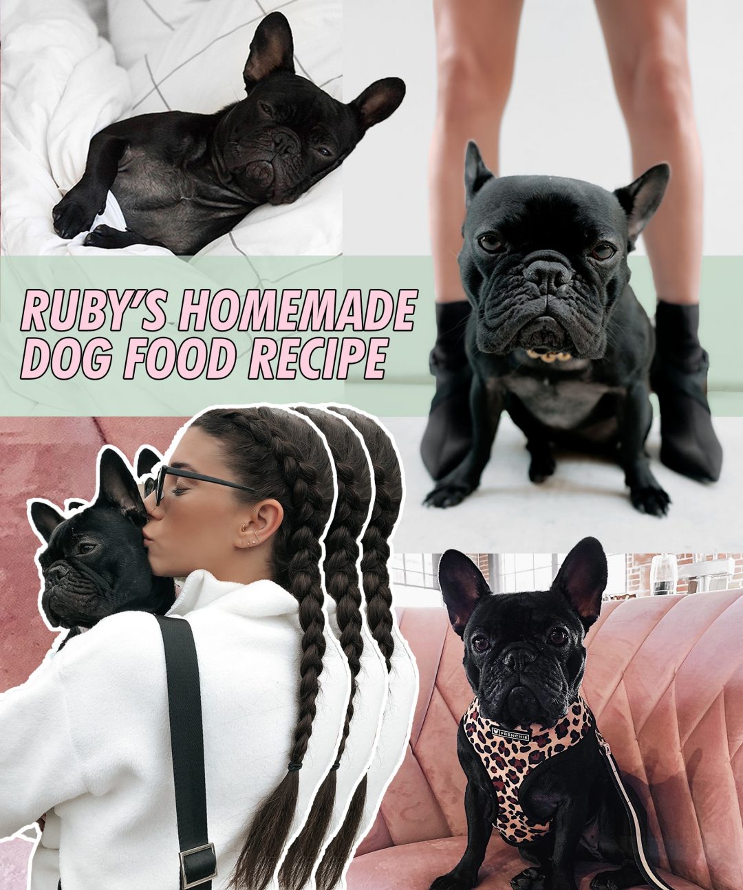 only the best for our boujee bitch, Ruby's homemade dog food recipe ...